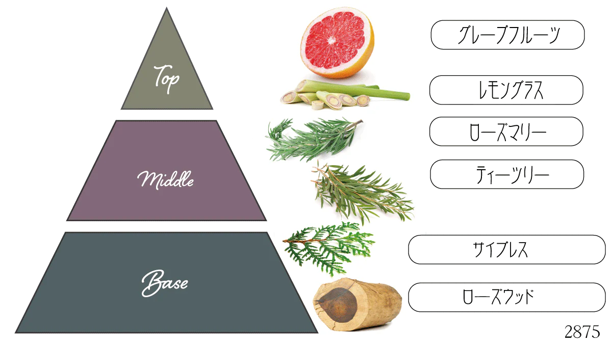 Nama candle｜「シャイニングサン Shining sun」 8点ギフトセット – 高級ナビ オンラインストア